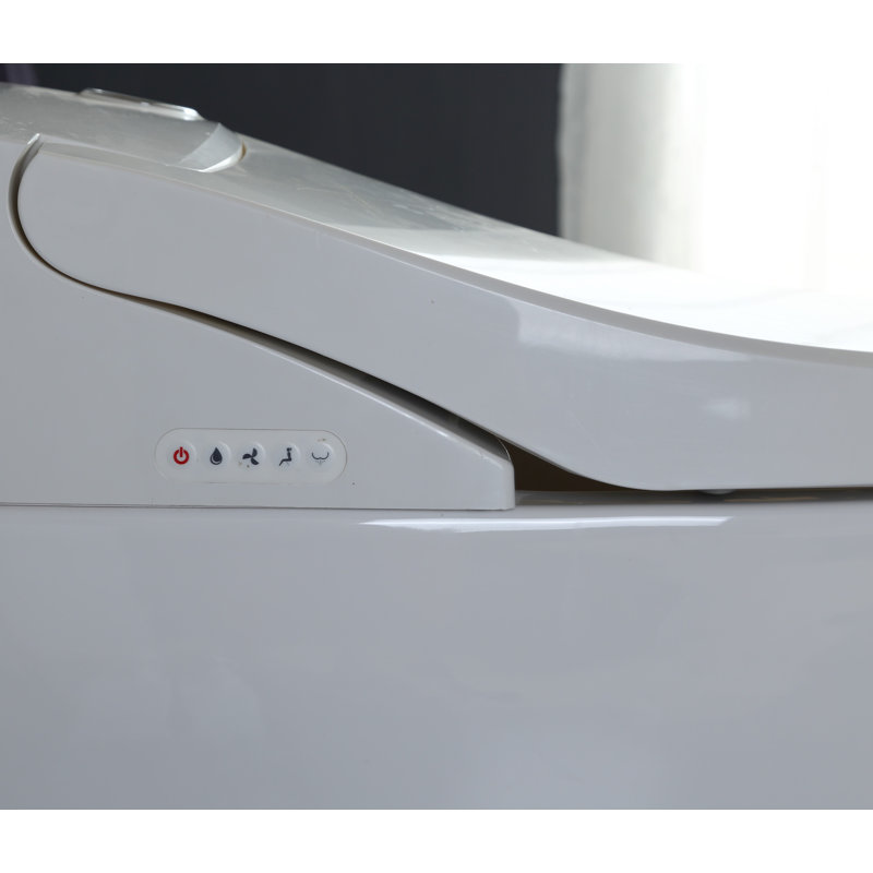 Runfine Group 1.28 Gallons Per Minute GPF Elongated Floor Mounted Bidet Toilet (Seat Included ...